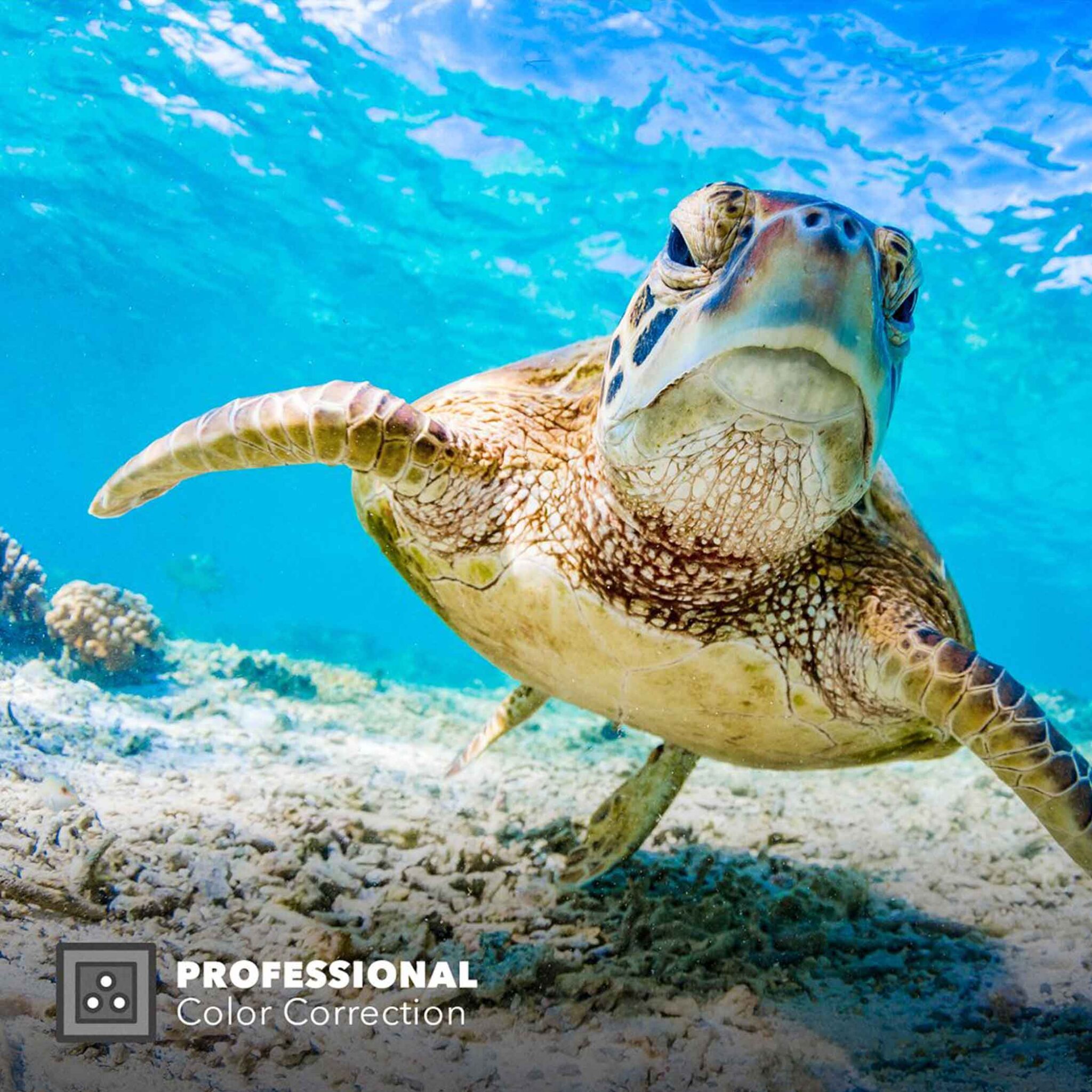 PolarPro GoPro 8, 9 & 10 Red Filter Kit | Dive Gear Australia