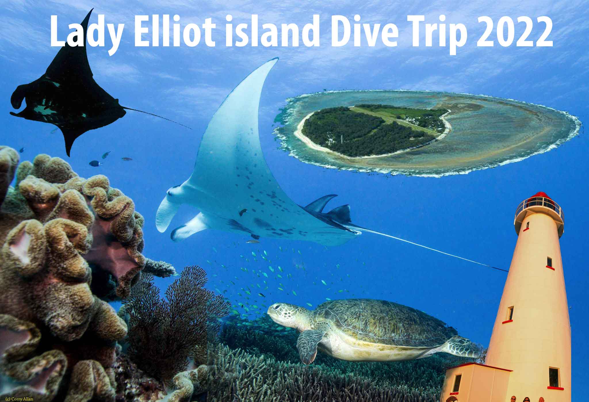 Lady Elliot Island Dive Club Trip 2022 | Dive Gear Australia